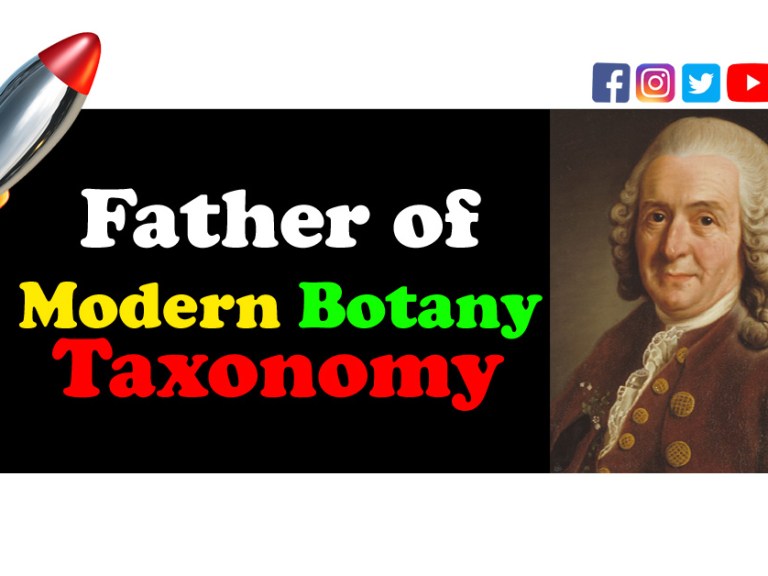 Who is The Father of Taxonomy – WH Type