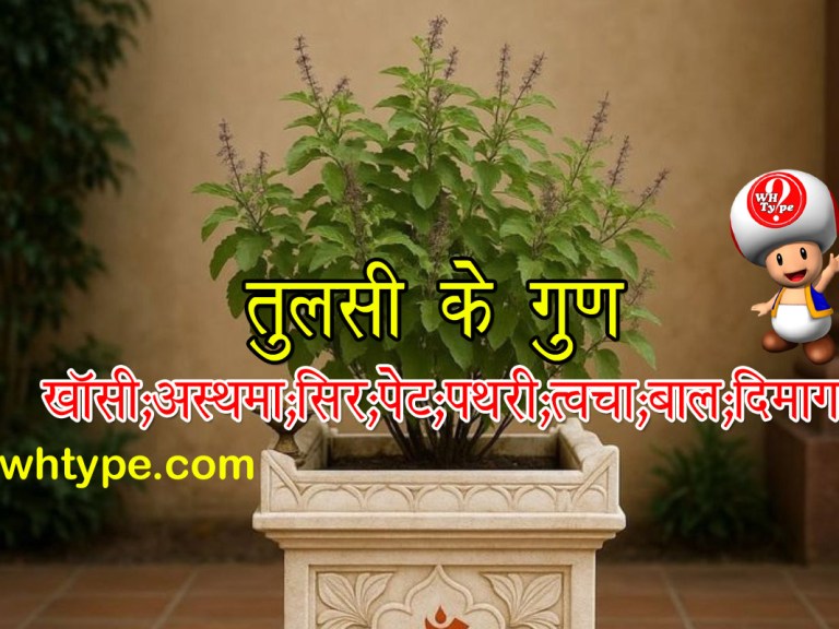 Prithvi Series – Prithvi-I, II, III (Short-range ballistic missiles ...